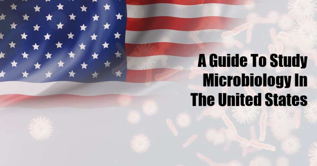 Study Microbiology In US - A Complete Guide To Study In The U.S