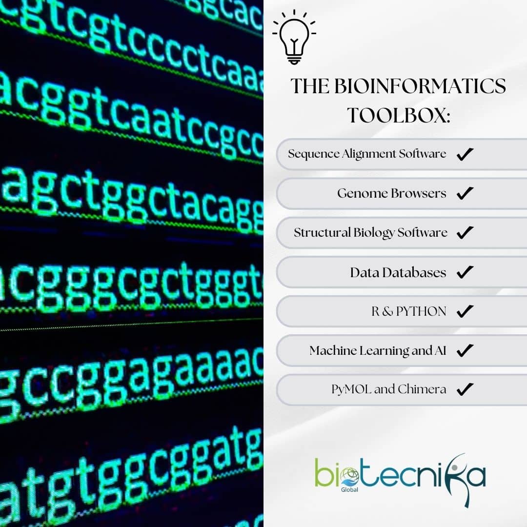 The Role of Bioinformatics in Biotech Careers: A Comprehensive Guide