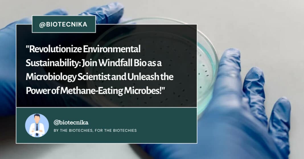 Windfall Bio Microbiology Scientist Role - Apply Online Now