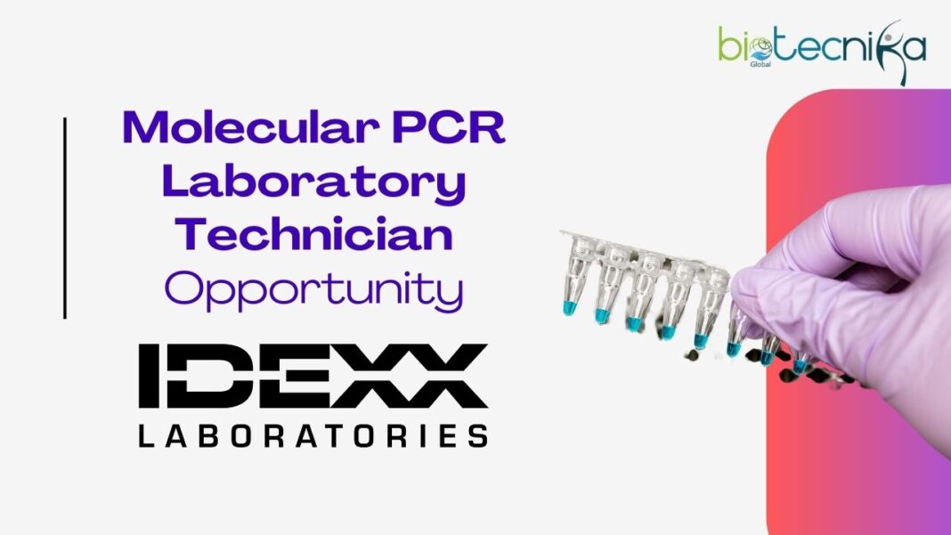 Molecular PCR Laboratory Technician - Land Your Dream Job at IDEXX ...