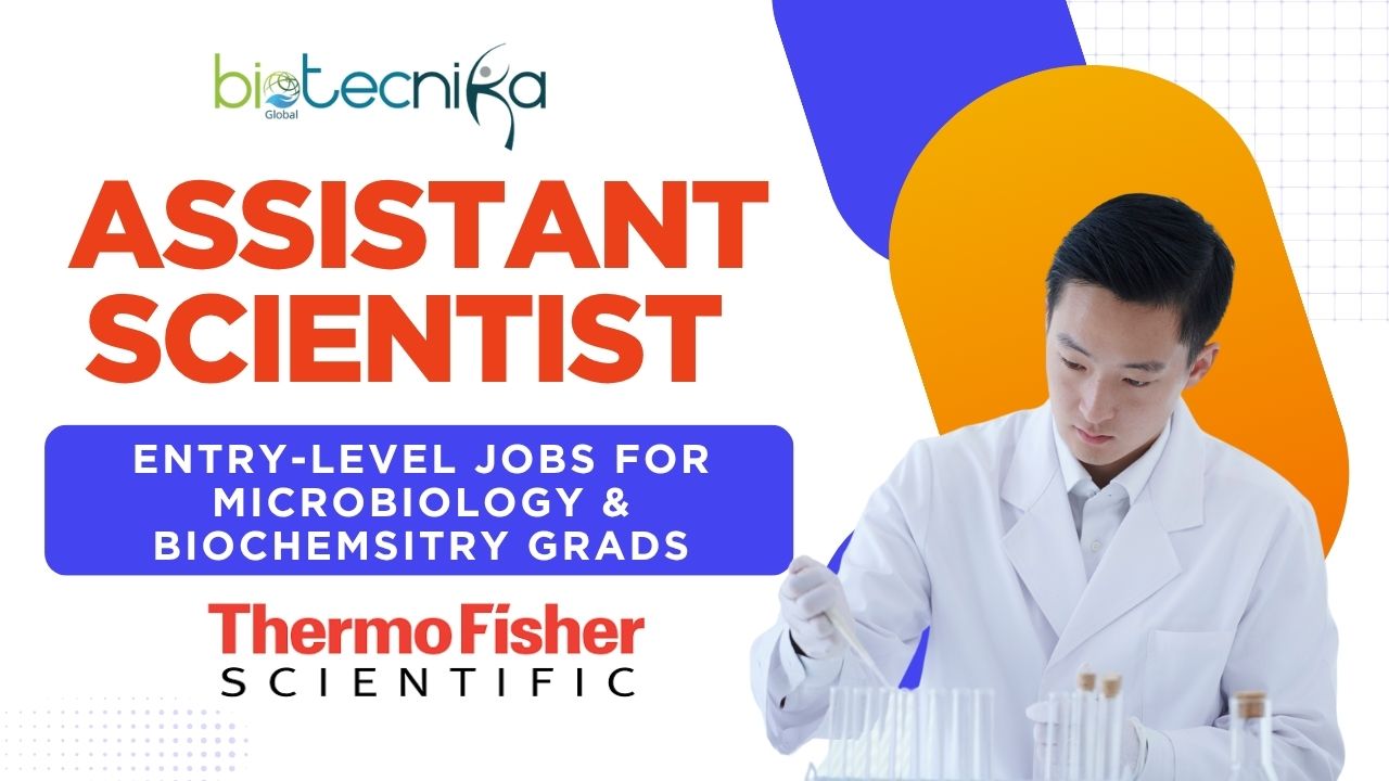 Assistant Scientist Entry-Level Job – Thermo Fisher Scientific