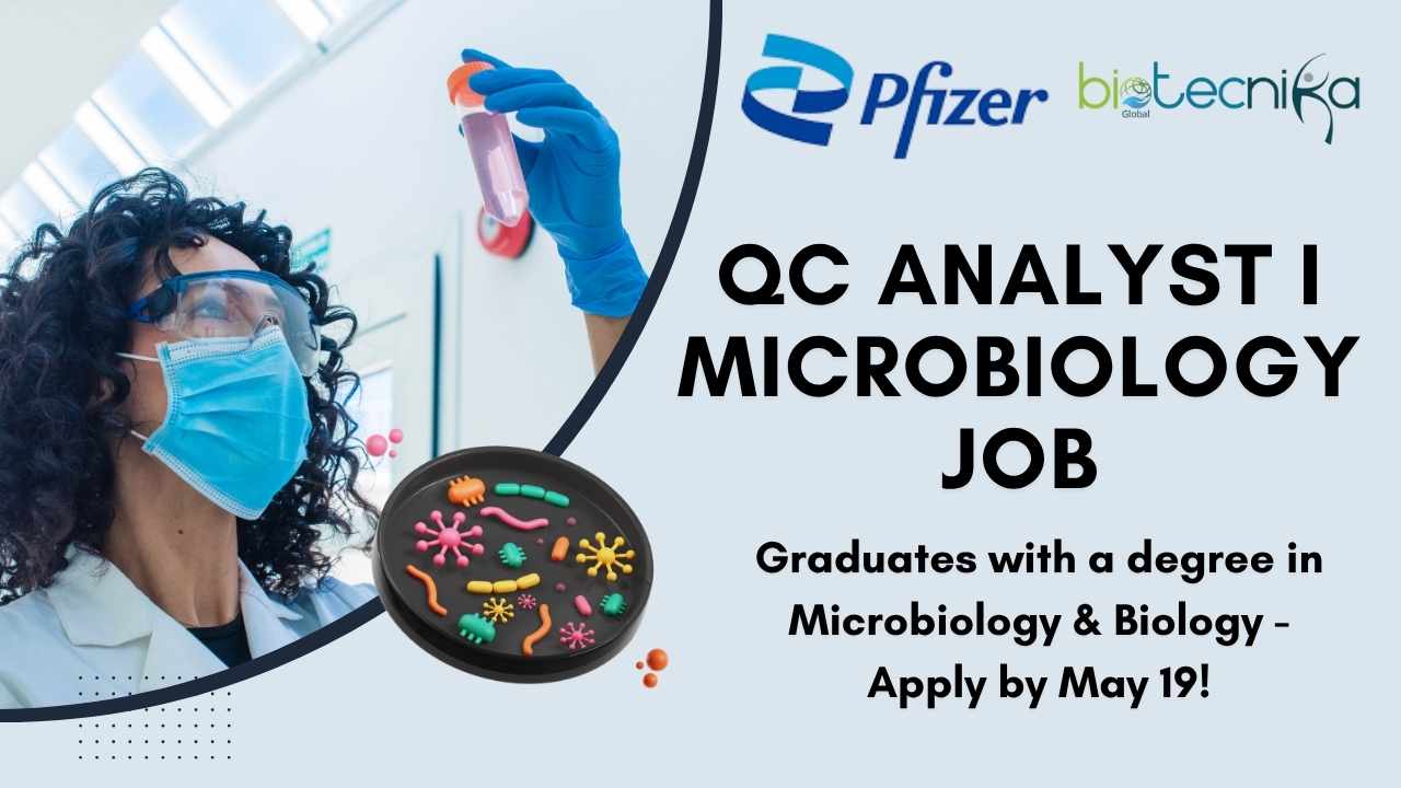 QC Analyst I Microbiology Job at Pfizer – Apply by May 19