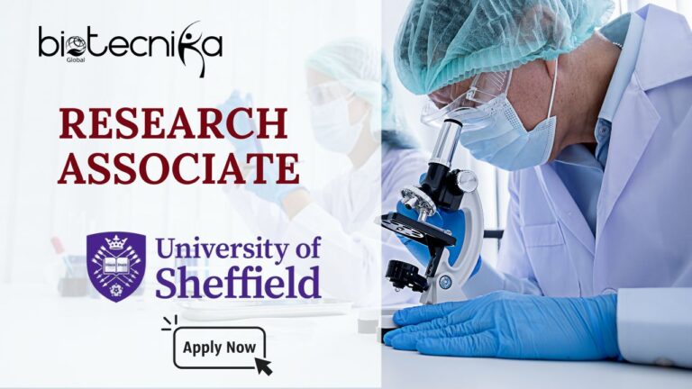 Research Associate Job at Sheffield | PhD Apply Now! - BioTecNika Global