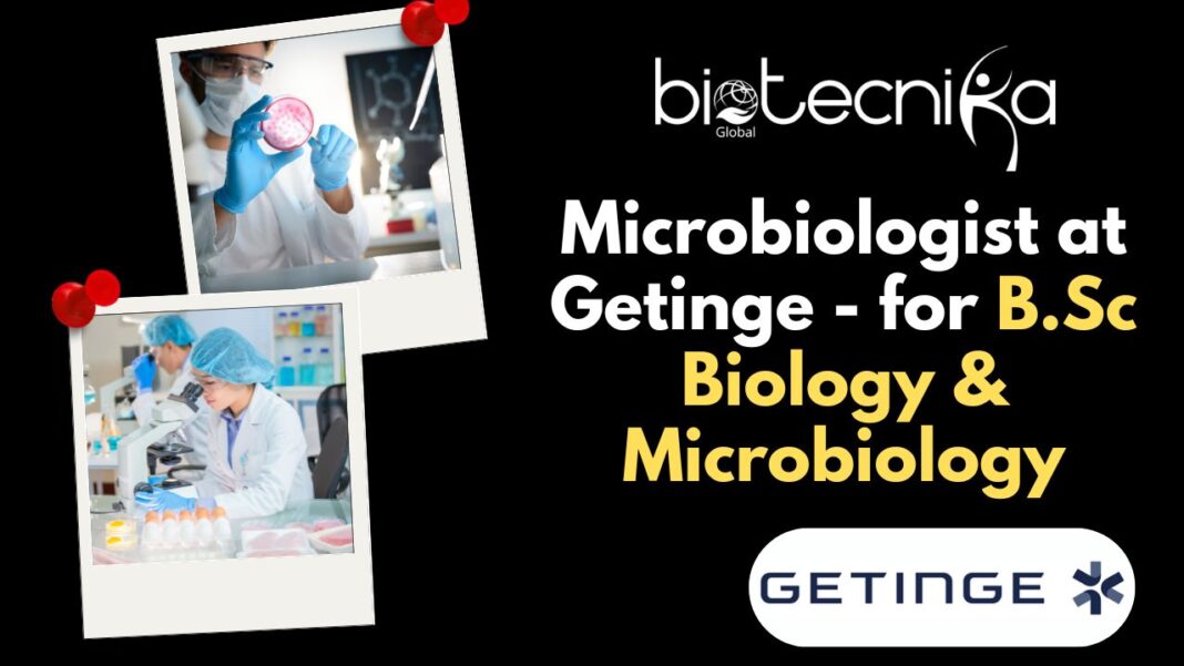 Microbiologist at Getinge - for B.Sc Biology & Microbiology