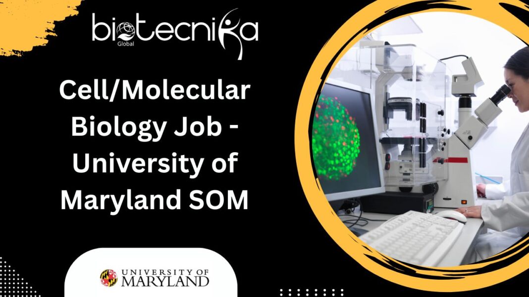 Cell/Molecular Biology Job - University of Maryland SOM