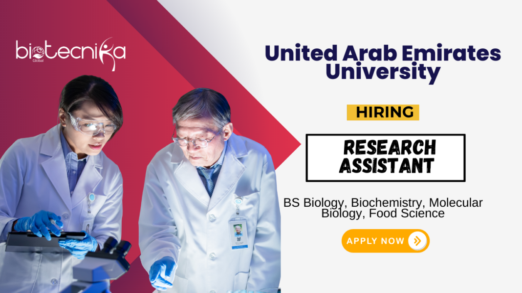 Research Assistant Job at United Arab Emirates University