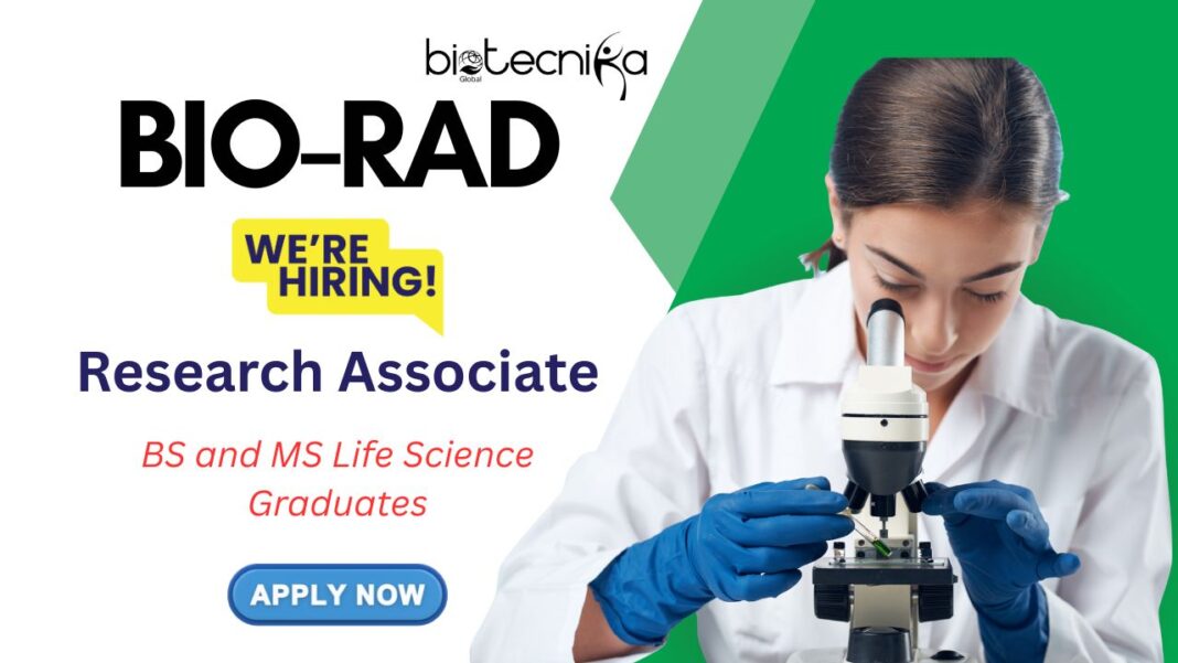 BS & MS Life Sciences Vacancies at Bio-Rad Laboratories