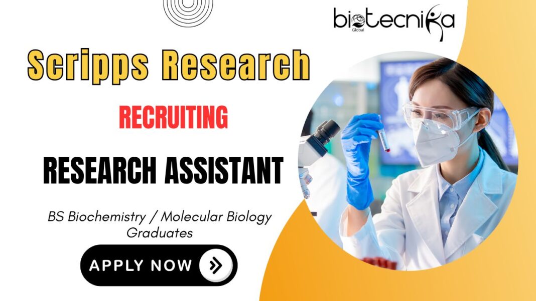 Research Assistant Job at Scripps Research - Protein Engineering