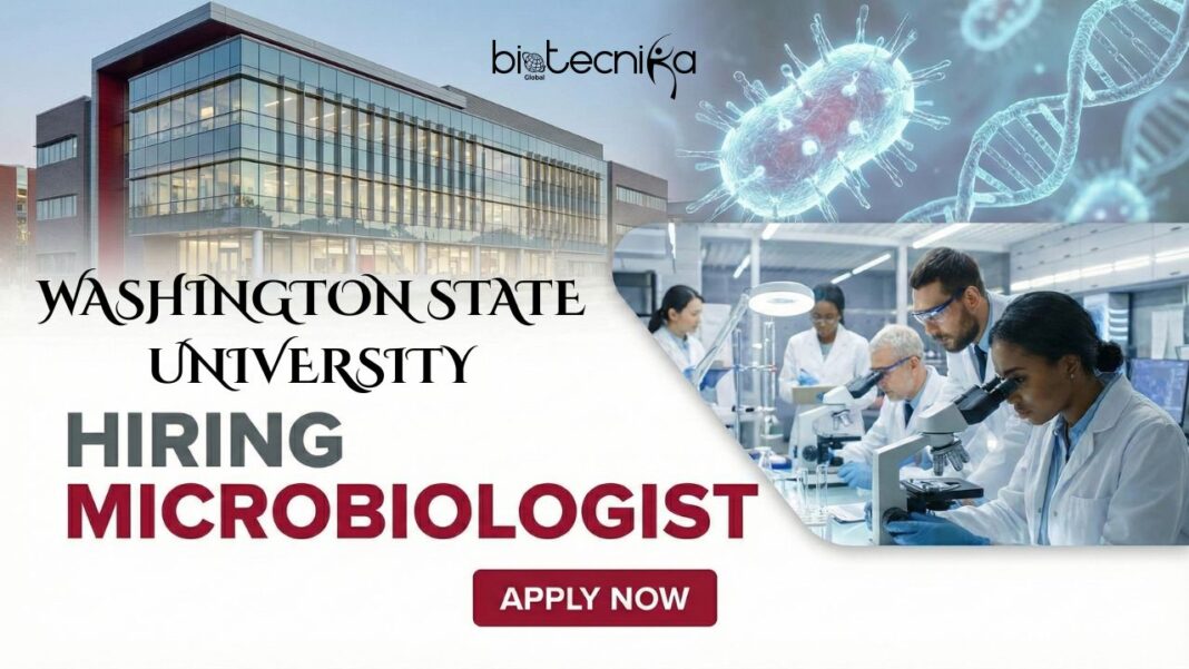 Microbiologist Job Openings | Apply at WSU