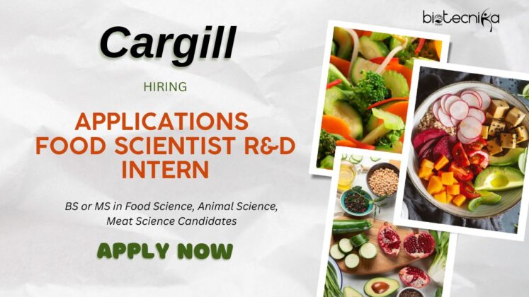 Food Scientist Job | Apply for R&D Internship at Cargill Careers