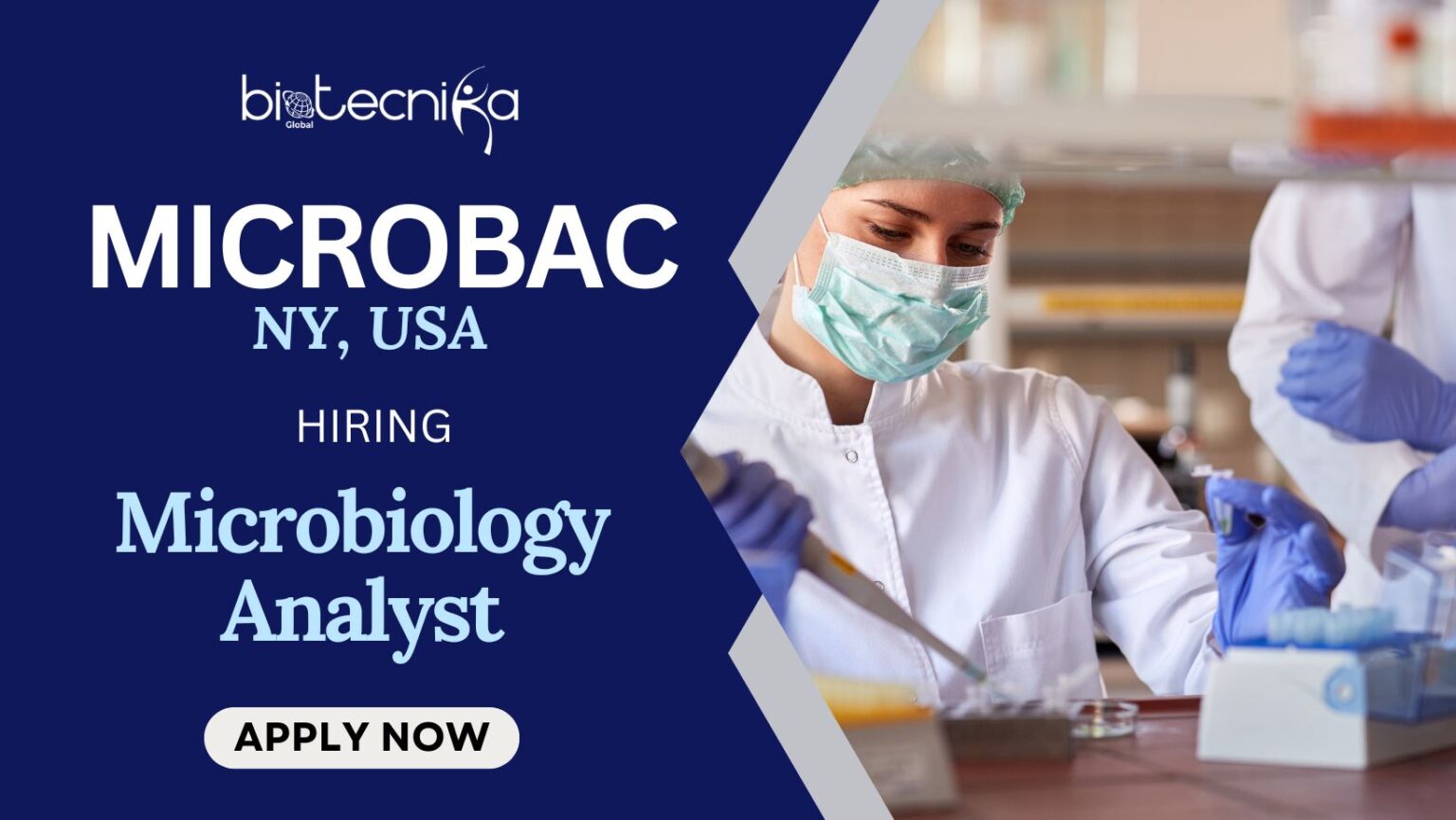 Latest Microbiology Jobs | Apply at Microbac Now