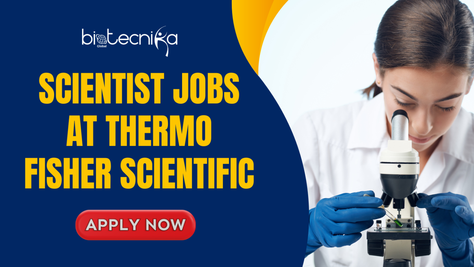 Scientist Jobs at Thermo Fisher Scientific | Apply Now
