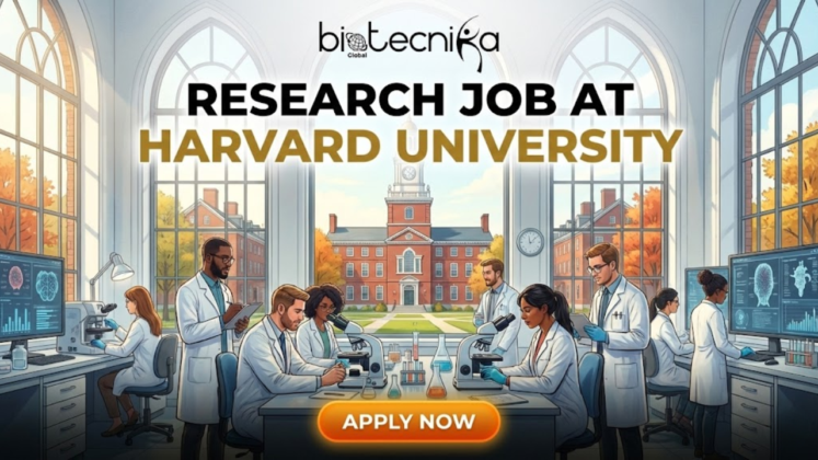 Research Job at Harvard University | Join as Research Assistant